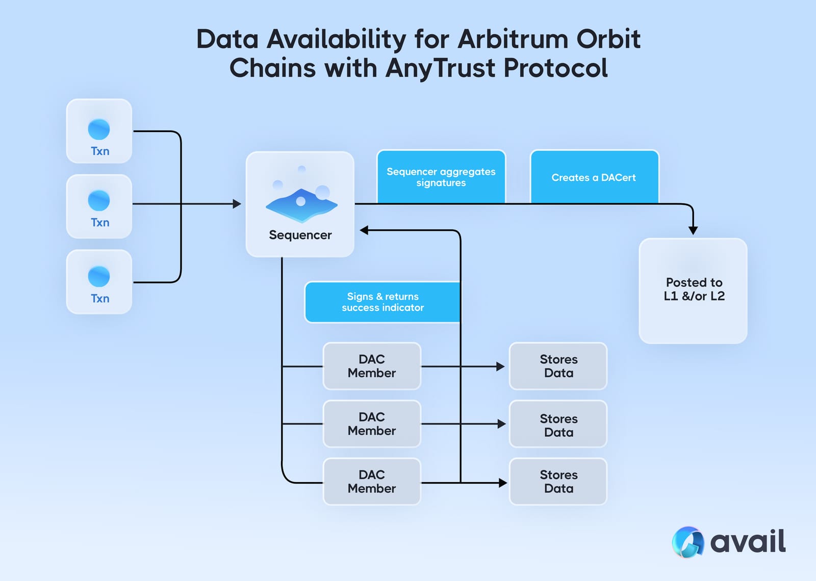 Avail Ecosystem Series: Arbitrum Orbit Chains